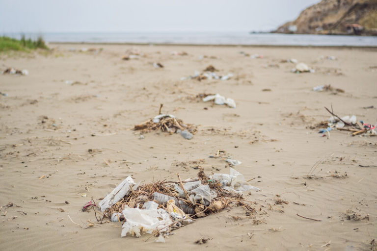 Microplastics And Testosterone